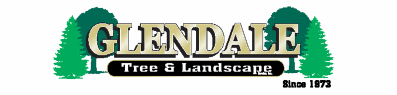 Glendale Tree & Landscaping Service - About Us